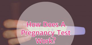 Drano Pregnancy Test: Is It An Accurate Gender Predictor?