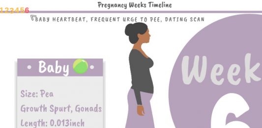 3 Weeks Pregnant: Week-by-Week Pregnancy Guide