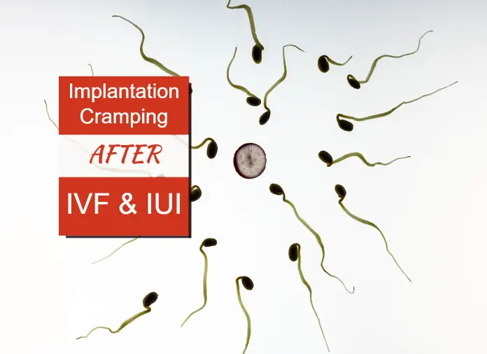 Cervical Mucus After Implantation: How To Detect Implantation? Cervical Mucus After Implantation: How To Detect Implantation?