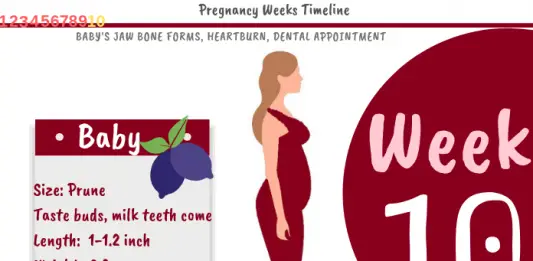 10 Weeks Pregnant: Week-by-Week Pregnancy Guide