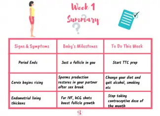 First Trimester OF Pregnancy: Weeks 1 To 13 Symptoms & Development