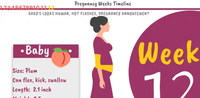 Prenatal Testing: Genetic Tests, Screening & Routine Pregnancy Tests