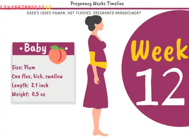 12 Weeks Pregnant (Pregnant Belly and 12 Weeks Ultrasound Pictures)