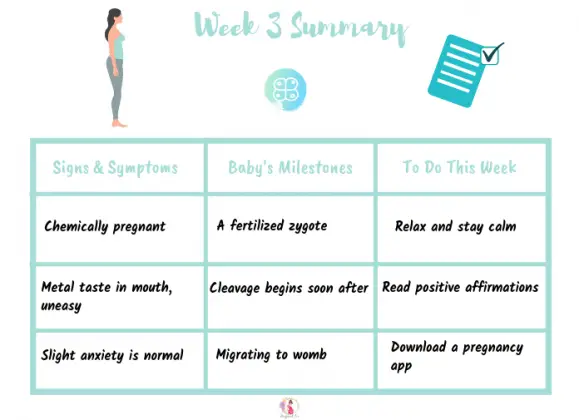 First Trimester OF Pregnancy: Weeks 1 To 13 Symptoms & Development