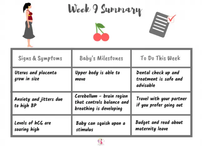 First Trimester OF Pregnancy: Weeks 1 To 13 Symptoms & Development