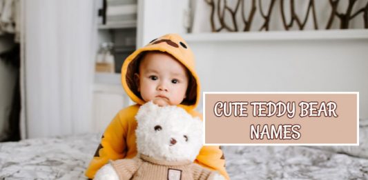 Teddy Bear Names: Cute & Trendy [Updated 2024]