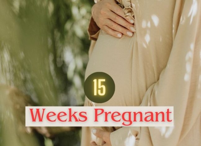 15 Weeks Pregnant: What To Expect? - Pregnancy